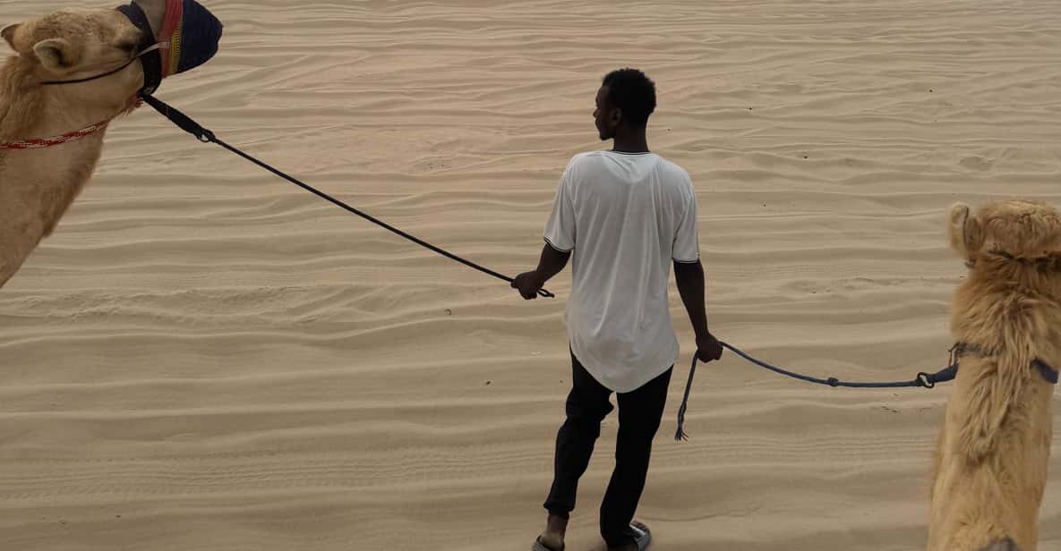 Doha: Desert Safari, Sandboarding, Dune Bashing & Inland Sea | GetYourGuide