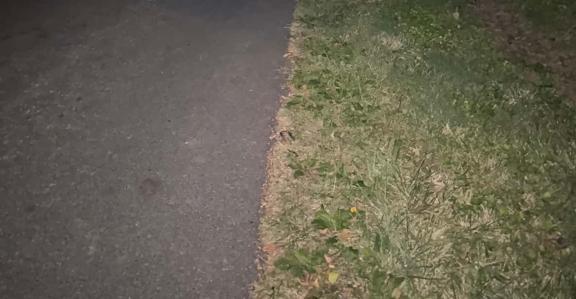 Gettysburg: Ghost Hunt Tour with Ghost Hunting Equipment | GetYourGuide