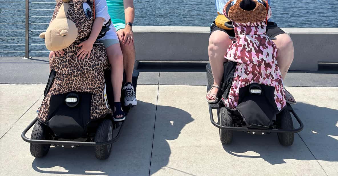 Tampa: Riverwalk and Downtown Tour on a Rydable | GetYourGuide