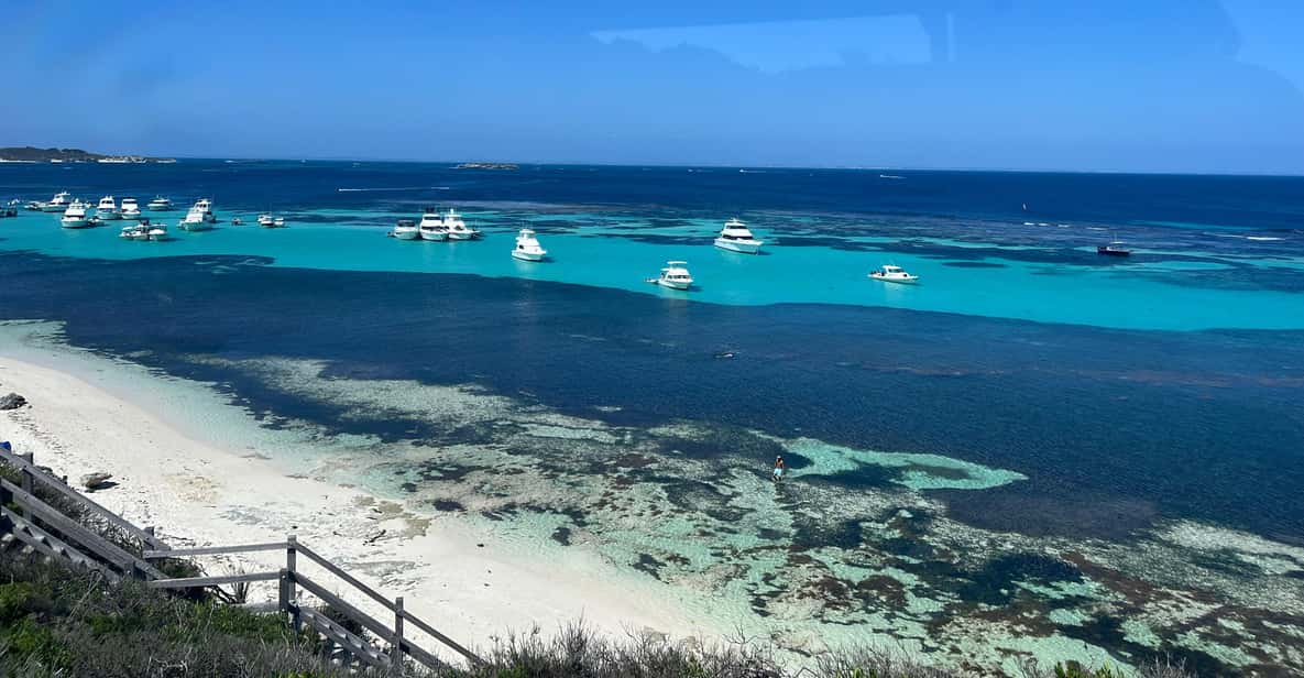 Rottnest Grand Island Package with Ferry, Tour & Light Lunch | GetYourGuide