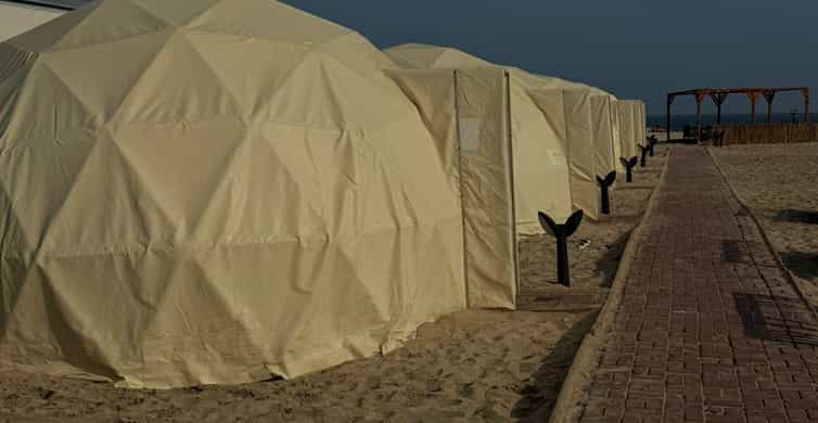 Doha: Full-Day Desert Safari & Buffet meal at Bedouin Camp | GetYourGuide