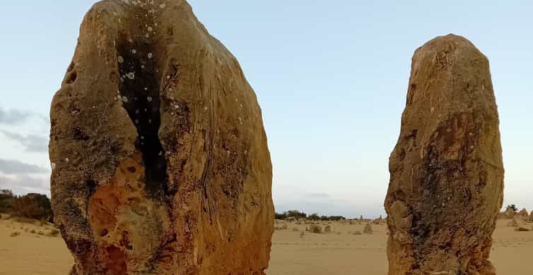 Pinnacles Desert: Sunset BBQ & Stargazing Tour +Sandboarding | GetYourGuide