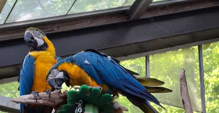 Toronto: Toronto Zoo Entry Ticket | GetYourGuide