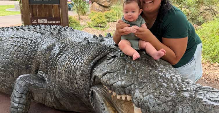 From Gold Coast : Australia Zoo Transfer and Entry Ticket | GetYourGuide