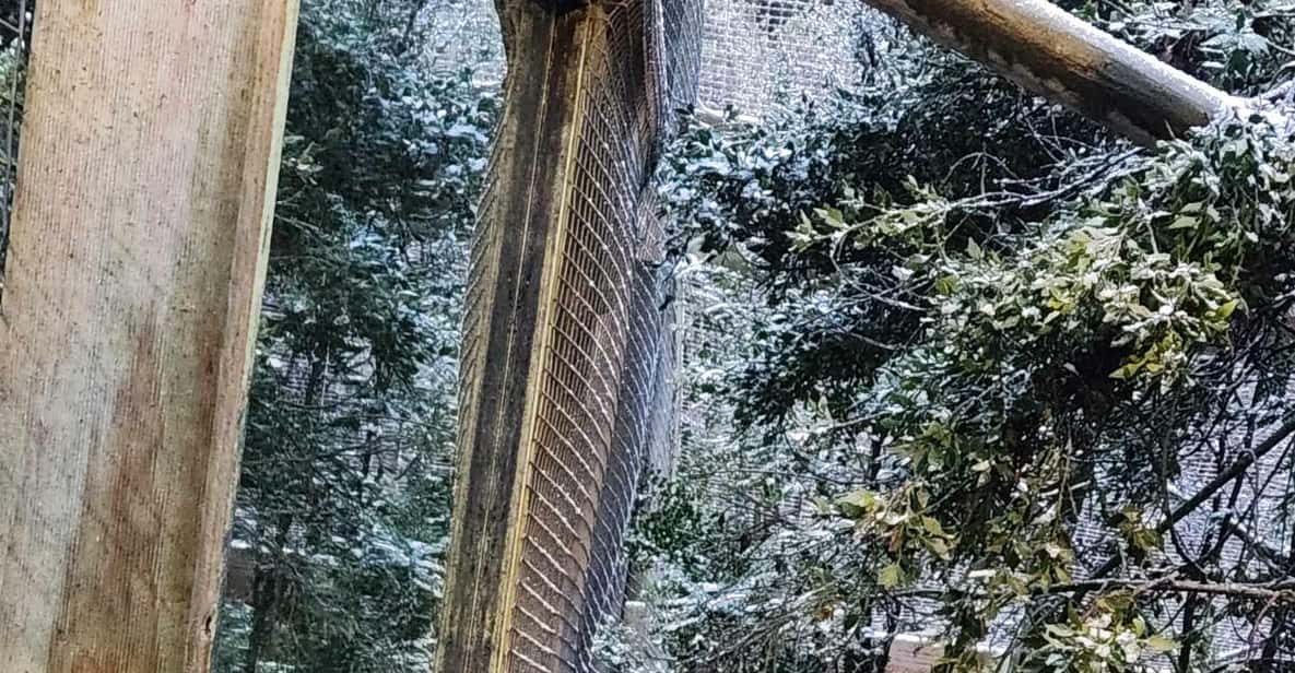 Cradle Mountain: After Dark Tasmanian Devil Feeding Tour | GetYourGuide