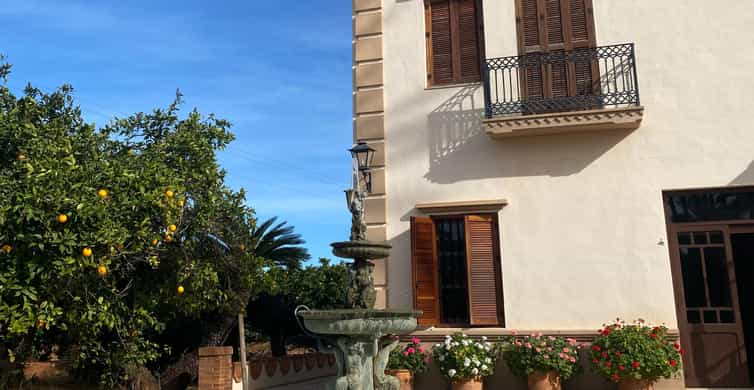 Valencia: Orange Farm and Orchard Trip with Tastings | GetYourGuide