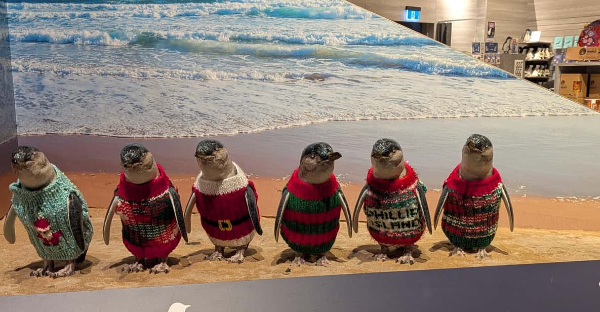Phillip Island: Penguin Parade and Multi Attraction Pass | GetYourGuide