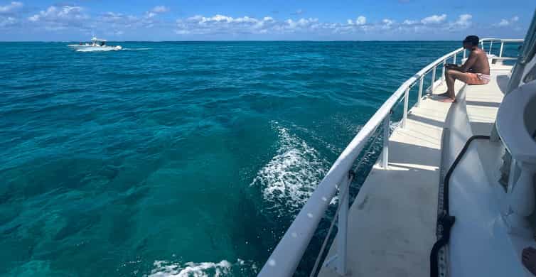 Grand Cayman: Catamaran Cruise with Stingray City & Snorkel | GetYourGuide