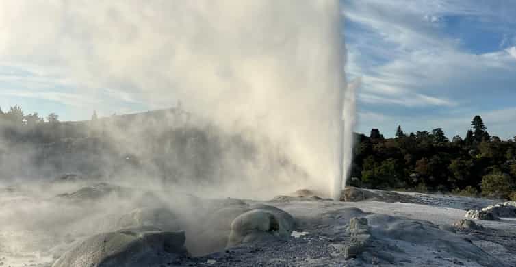 Te Puia: Te Pō Indigenous Evening Experience - Haka + Dinner | GetYourGuide