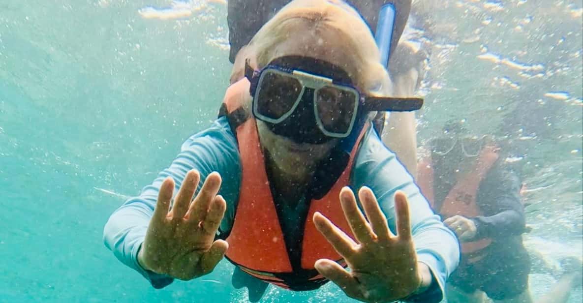 Cebu: Oslob Whale Sharks, Moalboal Sardine Run & Turtles | GetYourGuide