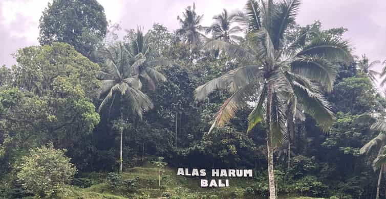 Ubud: Alas Harum Day-Pass, Swing, Sky Bike & Flying Fox | GetYourGuide