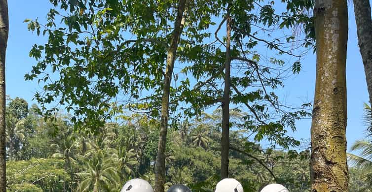 Ubud: Half-Day Zipline and Jungle Swing Adventure | GetYourGuide
