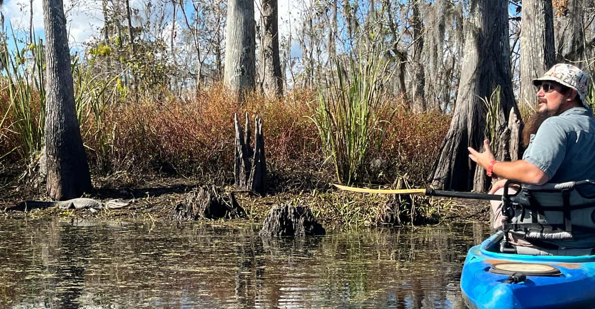 New Orleans: Manchac Magic Kayak Swamp Tour | GetYourGuide