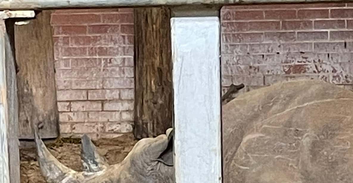 Leicestershire: Twycross Zoo Entry Ticket | GetYourGuide