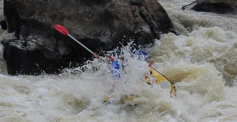Barron Gorge: Half-Day Barron River White-Water Rafting | GetYourGuide