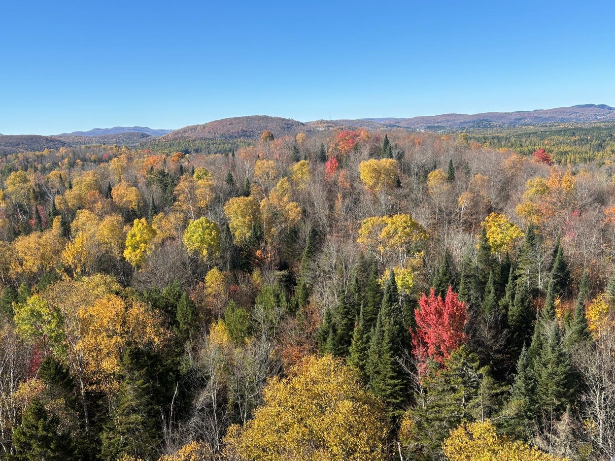 Treetop Walk, Easy Hiking Trail Laurentians | Mont-Tremblant Activity ...