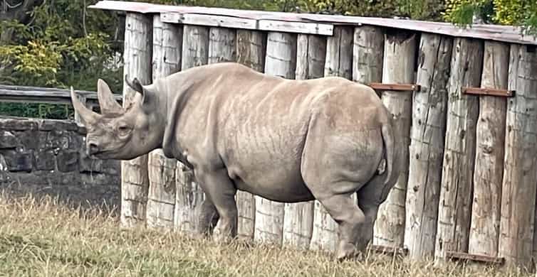Chester: Chester Zoo Entry Ticket | GetYourGuide