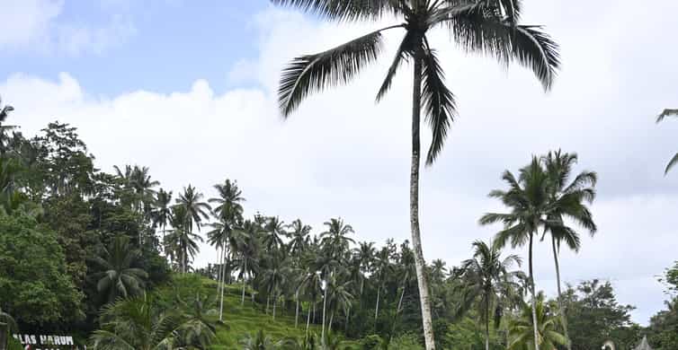 Ubud: Alas Harum Day-Pass, Swing, Sky Bike & Flying Fox | GetYourGuide