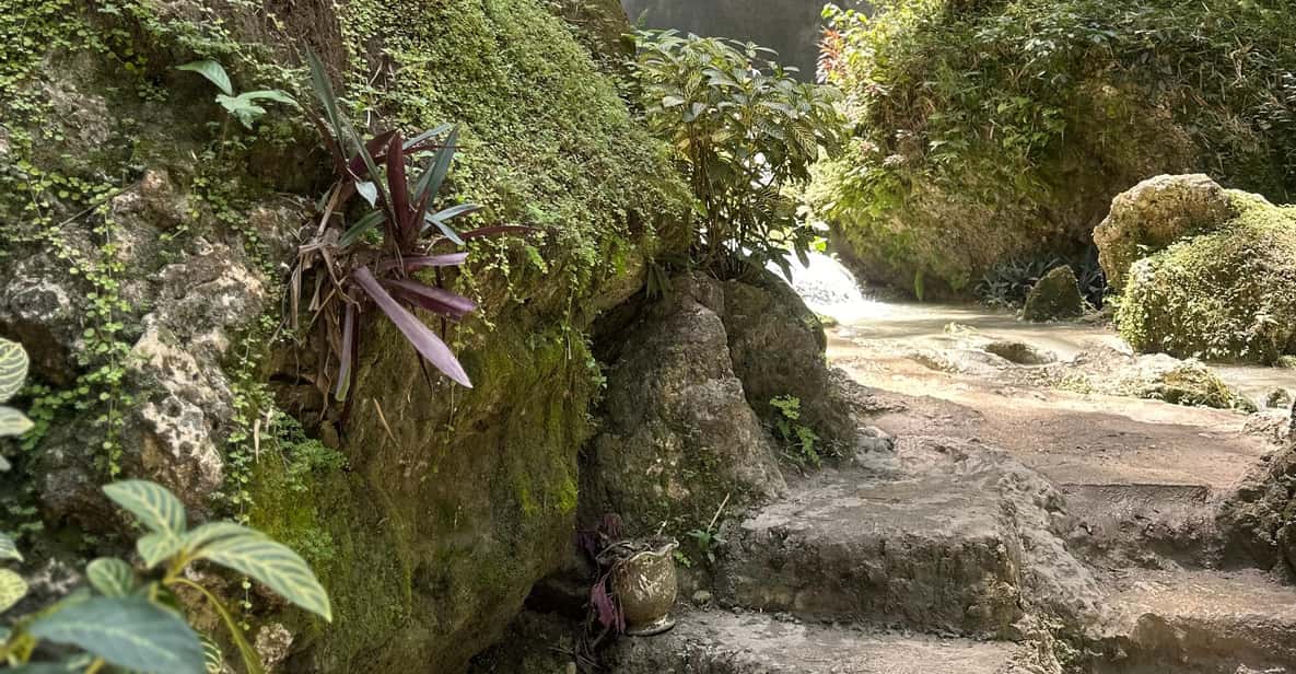 Cebu: Whalesharks, Sumilon Sandbar & Tumalog Falls Tour | GetYourGuide