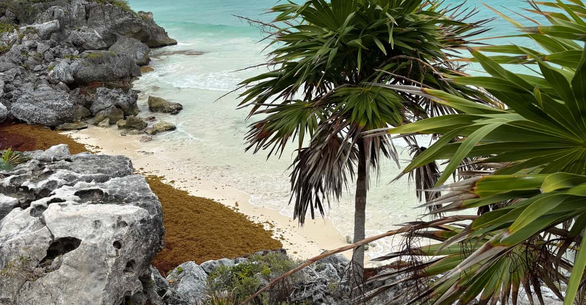 Riviera Maya: Tulum Ruins and 2 Cenotes Half-Day Tour | GetYourGuide