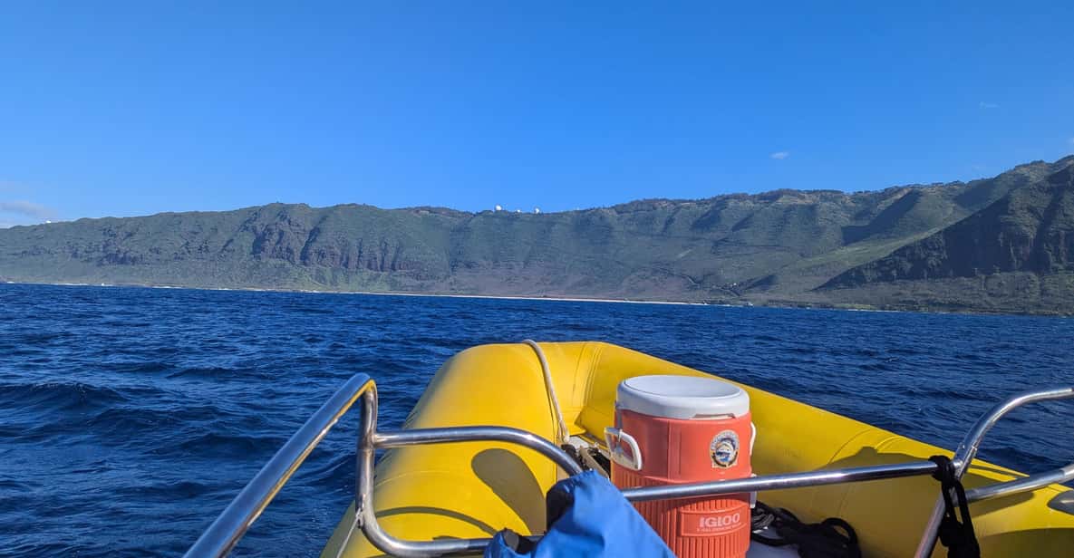 Oahu: Dolphin Swim and Turtle Snorkel Excursion in Waianae | GetYourGuide