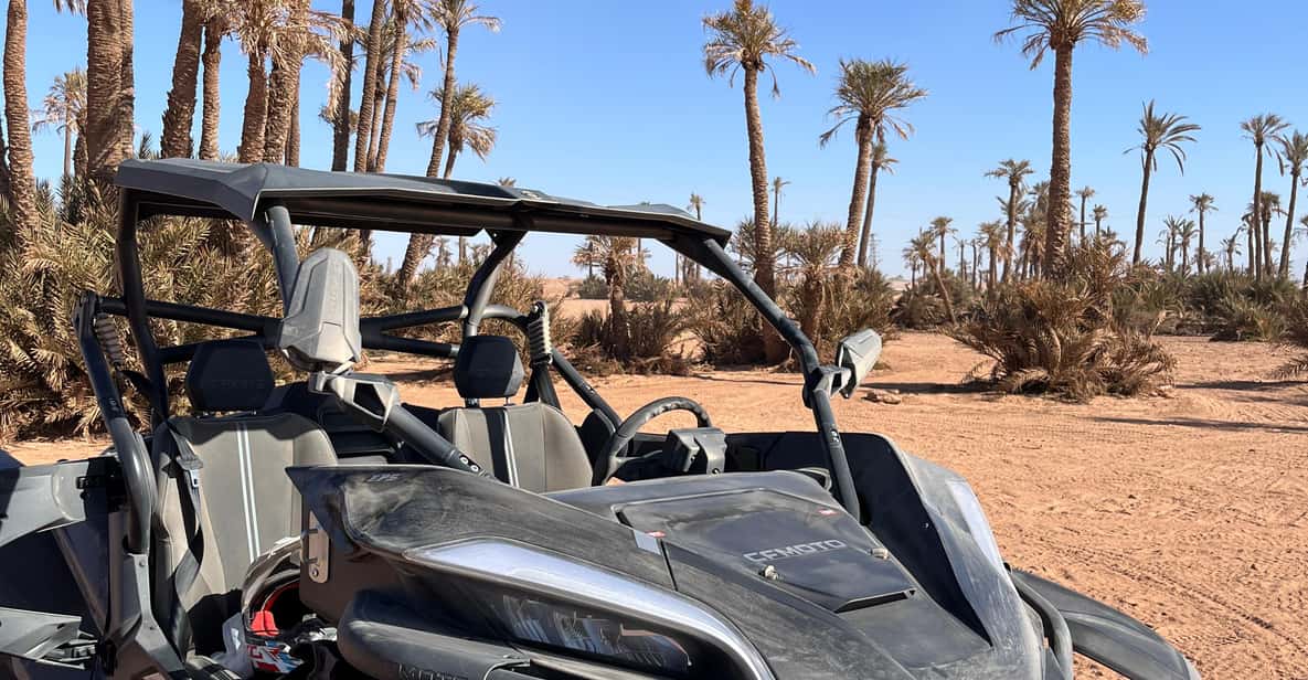 Buggy Marrakech Desert and Palmerie | GetYourGuide