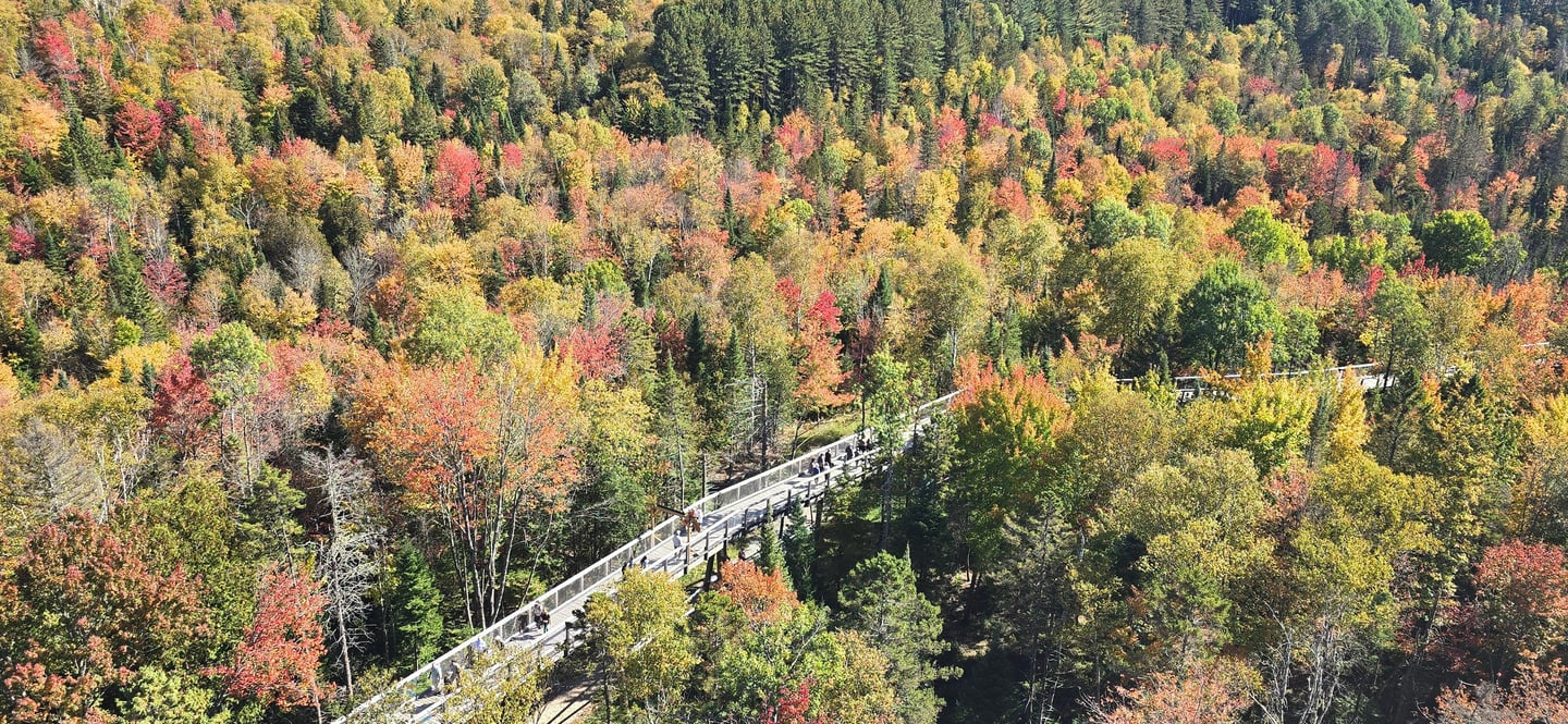 Treetop Walk, Easy Hiking Trail Laurentians | Mont-Tremblant Activity ...