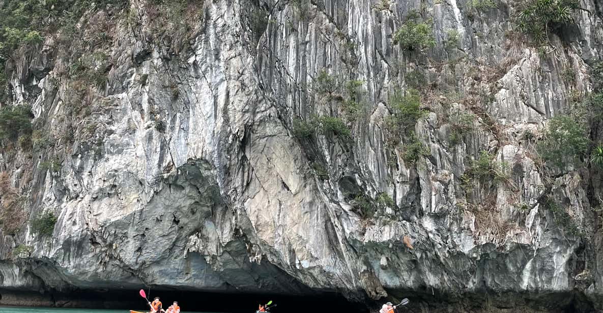 CAT BA :2D1N Затока Лан Ха-Бухта Ха Лонг з екскурсією по планктону | GetYourGuide