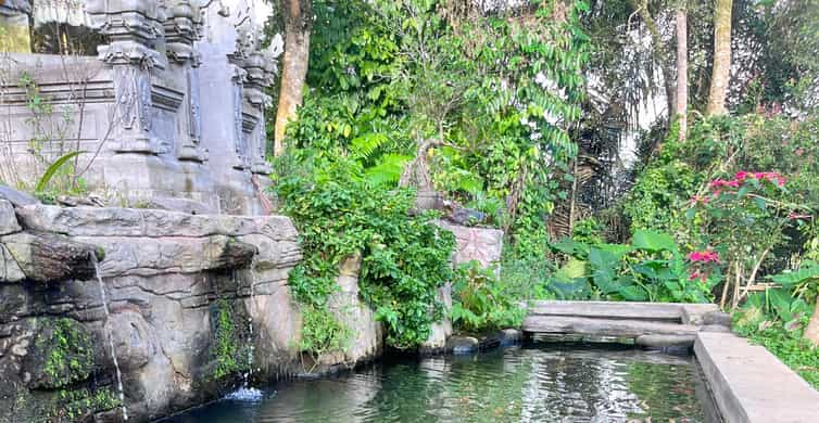 From Ubud: Evening Firefly Tour in Taro Village | GetYourGuide