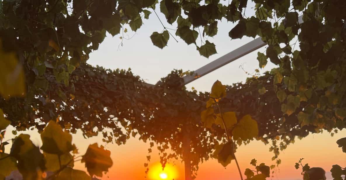 Od Kos: Zia Sunset Tour | GetYourGuide