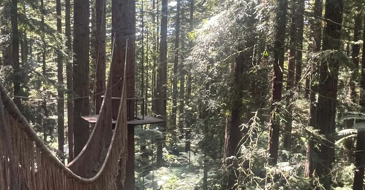 Rotorua: Redwoods Altitude High Ropes Adventure | GetYourGuide