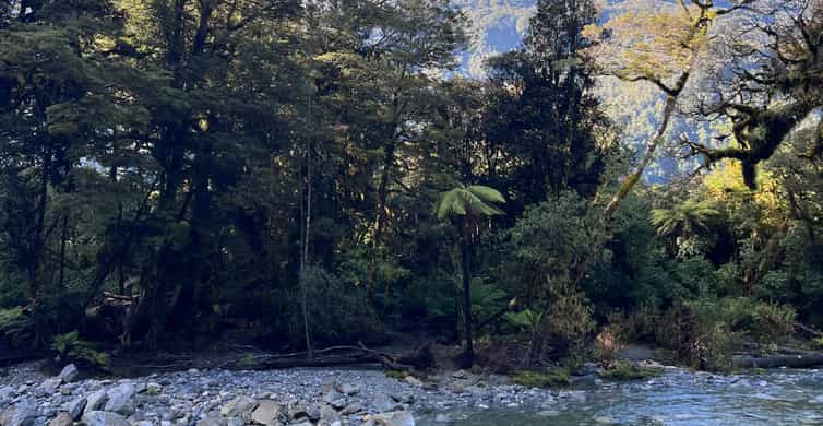 Milford Track: Full Day Guided Hike and Nature Cruise | GetYourGuide