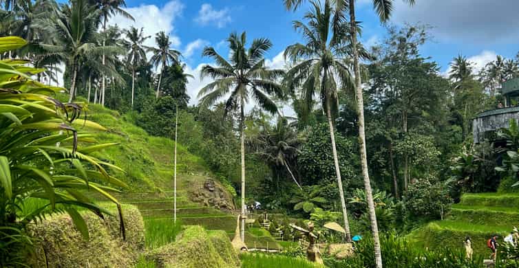 Ubud: Alas Harum Day-Pass, Swing, Sky Bike & Flying Fox | GetYourGuide