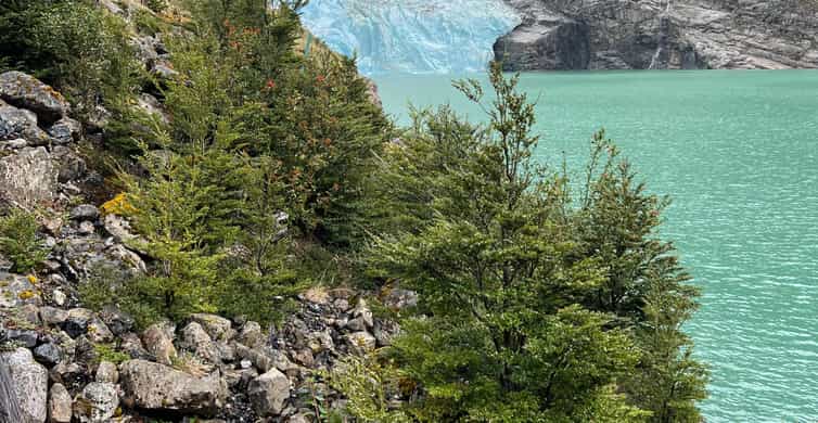 Puero Natales: Glacier Tour with Lunch & Whiskey Aperitif | GetYourGuide
