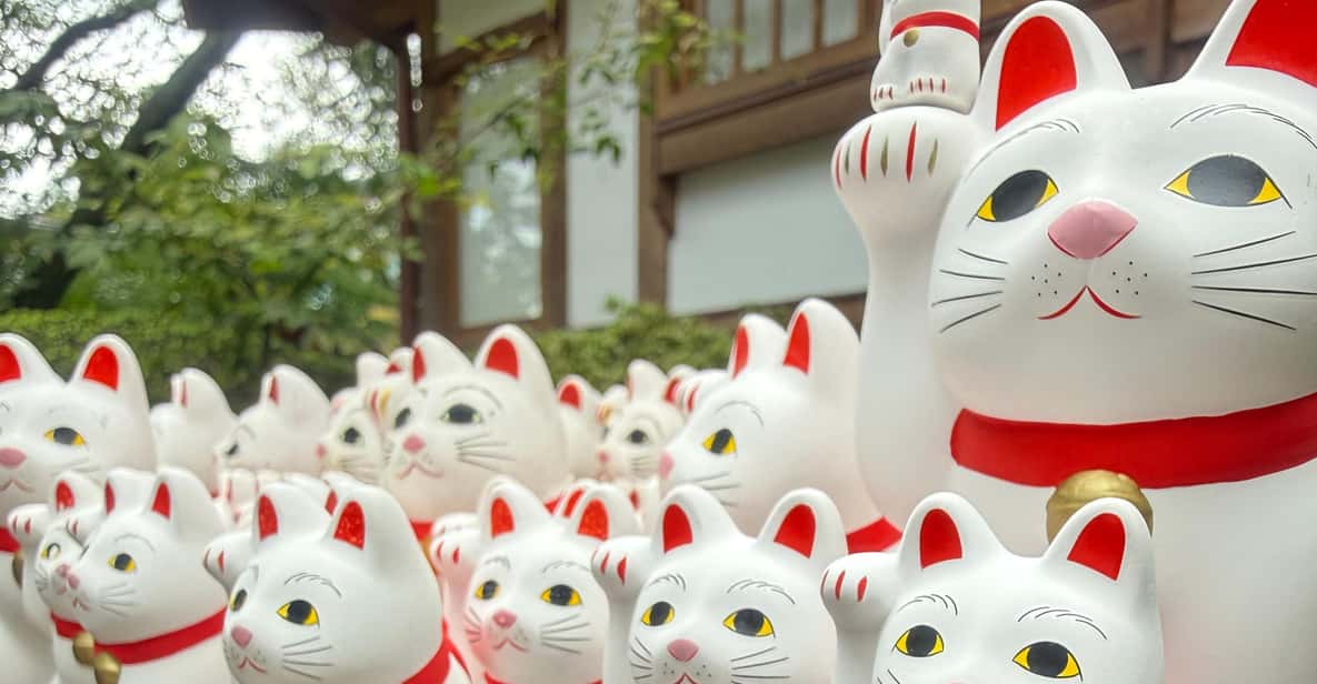 Tokyo: Gotokuji Lucky Cat Temple & Harajuku Shibuya Cat Cafe | GetYourGuide