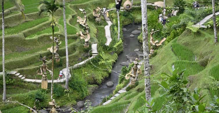 Ubud: Alas Harum Day-Pass, Swing, Sky Bike & Flying Fox | GetYourGuide