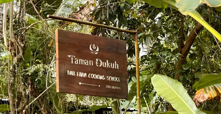 From Ubud: Evening Firefly Tour in Taro Village | GetYourGuide