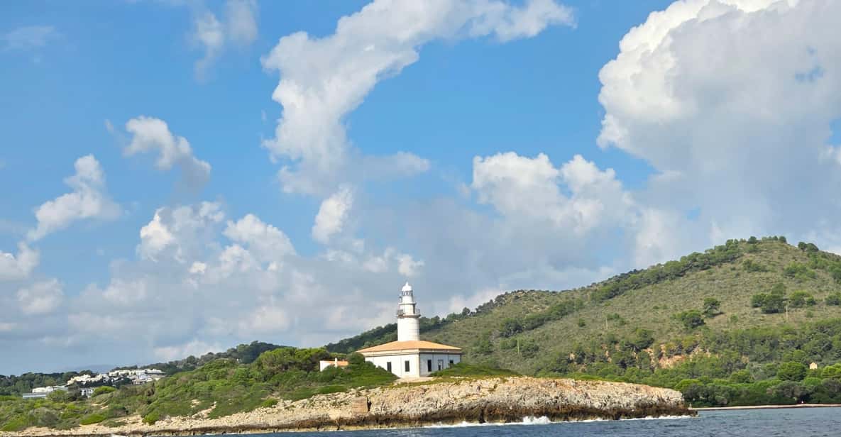 Alcudia: Delfin-Abenteuer-Kreuzfahrt | GetYourGuide