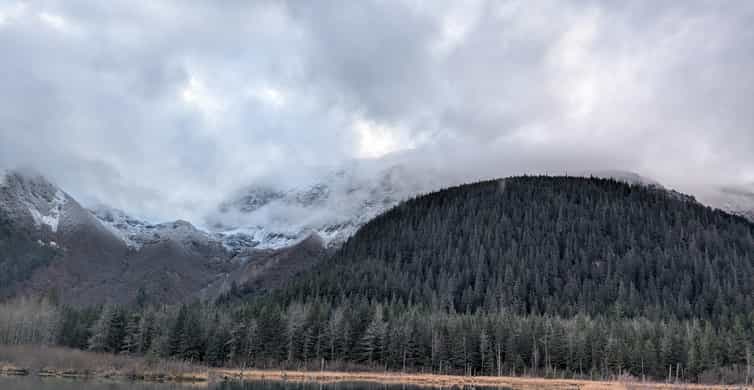 From Anchorage: Alaska Wildlife Center & Turnagain Arm Tour | GetYourGuide