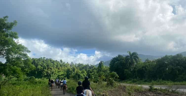 Carabalí Rainforest Park: Rainforest Horseback Riding Tour | GetYourGuide