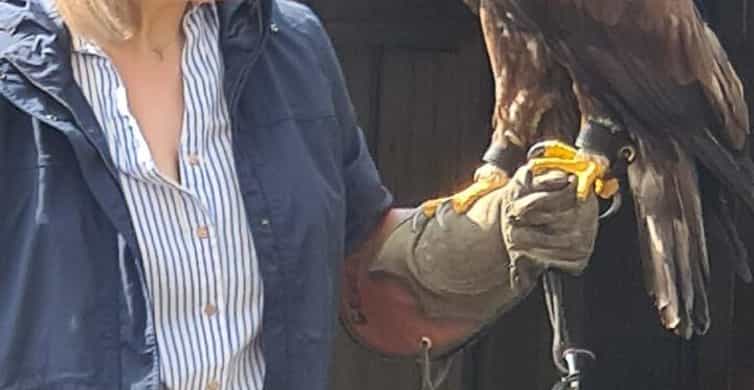 York: York Bird of Prey Centre Entry Ticket | GetYourGuide