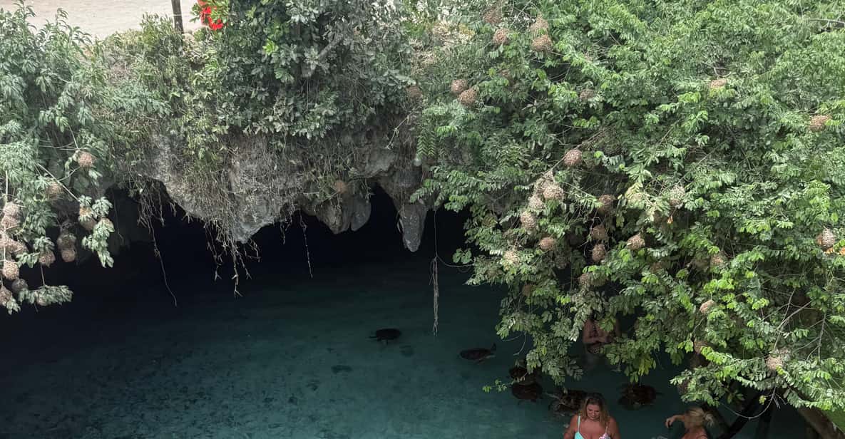 Zanzibar: Sea Turtle Swim at Salam Cave in Kizimkazi Village | GetYourGuide
