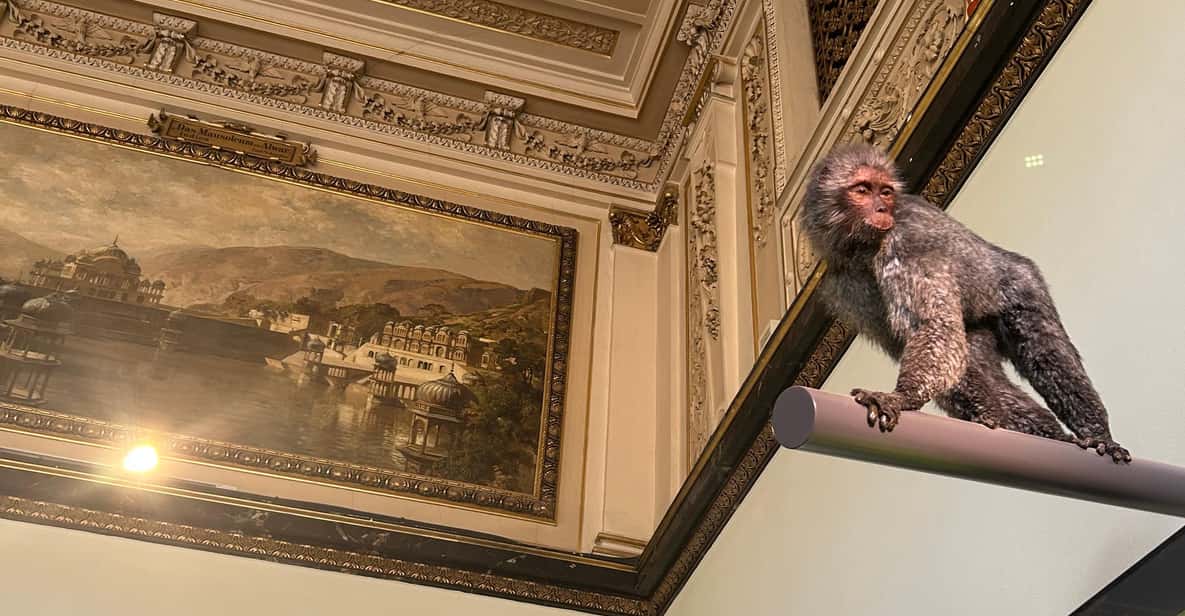 Vienna: Ticket to the Museum of Natural History | GetYourGuide