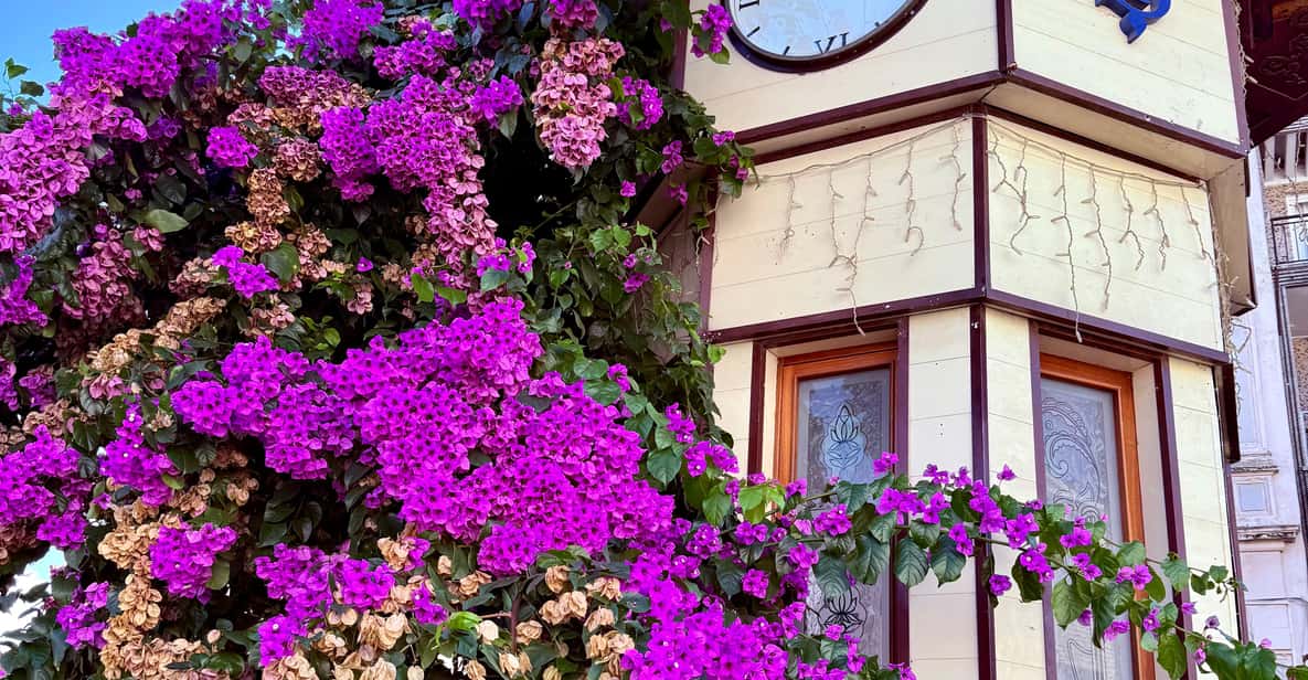 Istanbul: Princes' Islands Cruise with Lunch and Guide | GetYourGuide