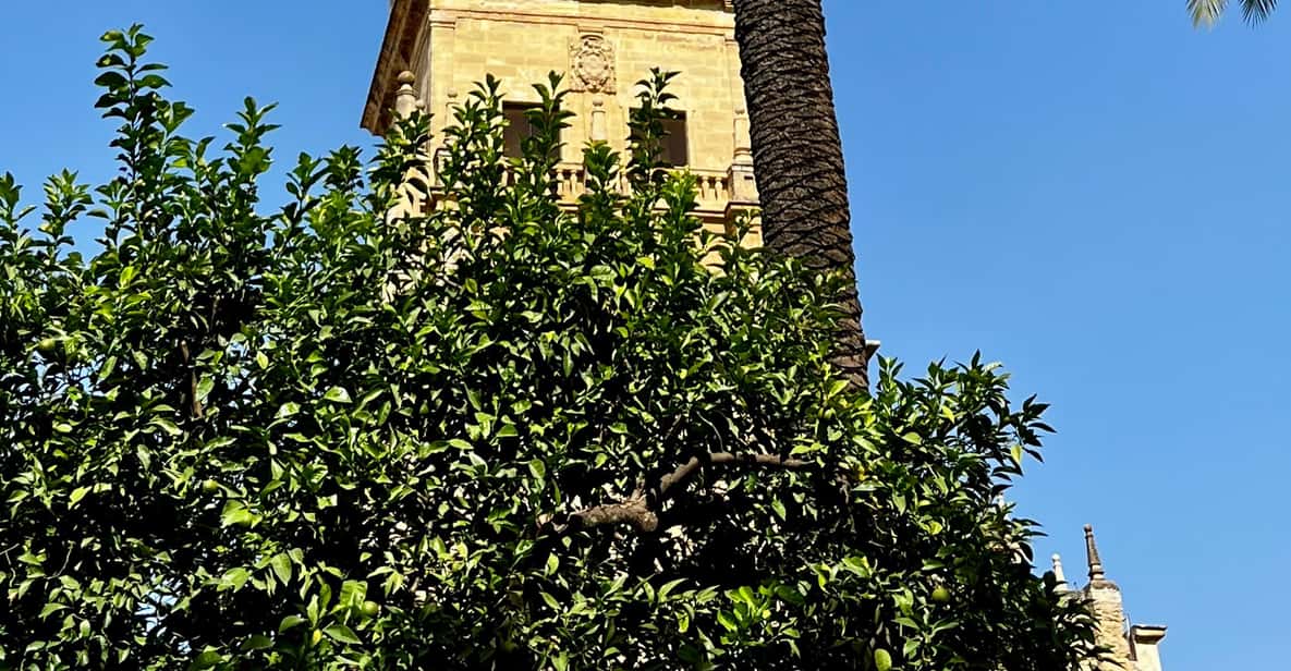 From Malaga: Cordoba Day Trip and Mosque-Cathedral | GetYourGuide