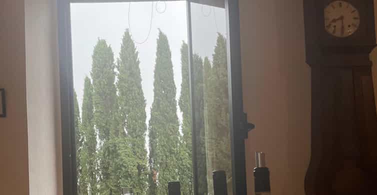 Siena: Winery tour/tasting with owner/maker of awarded wines | GetYourGuide