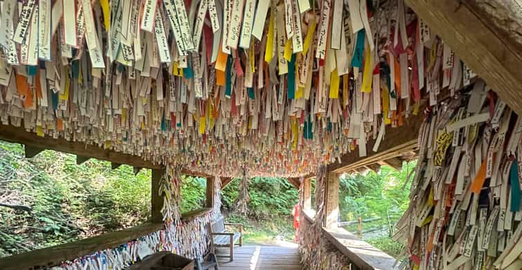 Foxfire Mountain: Hiking & Swinging Bridge Family Adventure | GetYourGuide