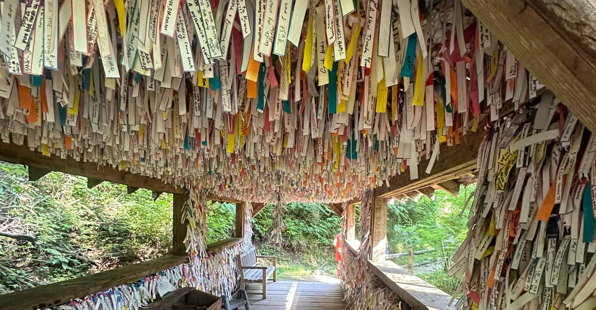 Foxfire Mountain: Hiking & Swinging Bridge Family Adventure | GetYourGuide