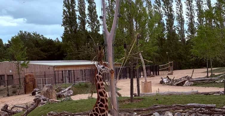 Chester: Chester Zoo Entry Ticket | GetYourGuide
