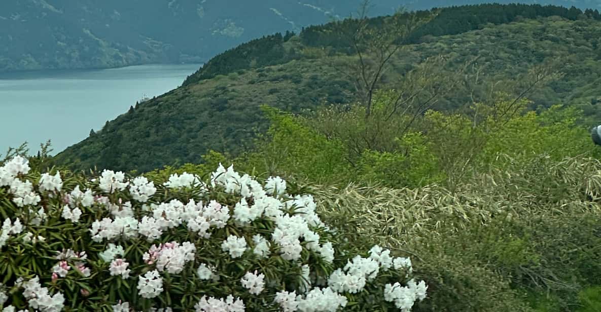 From Tokyo to Mount Fuji: Full-Day Tour and Hakone Cruise | GetYourGuide